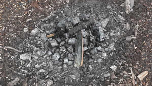 3d modo log burned ashes model