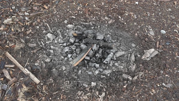 3d modo log burned ashes model