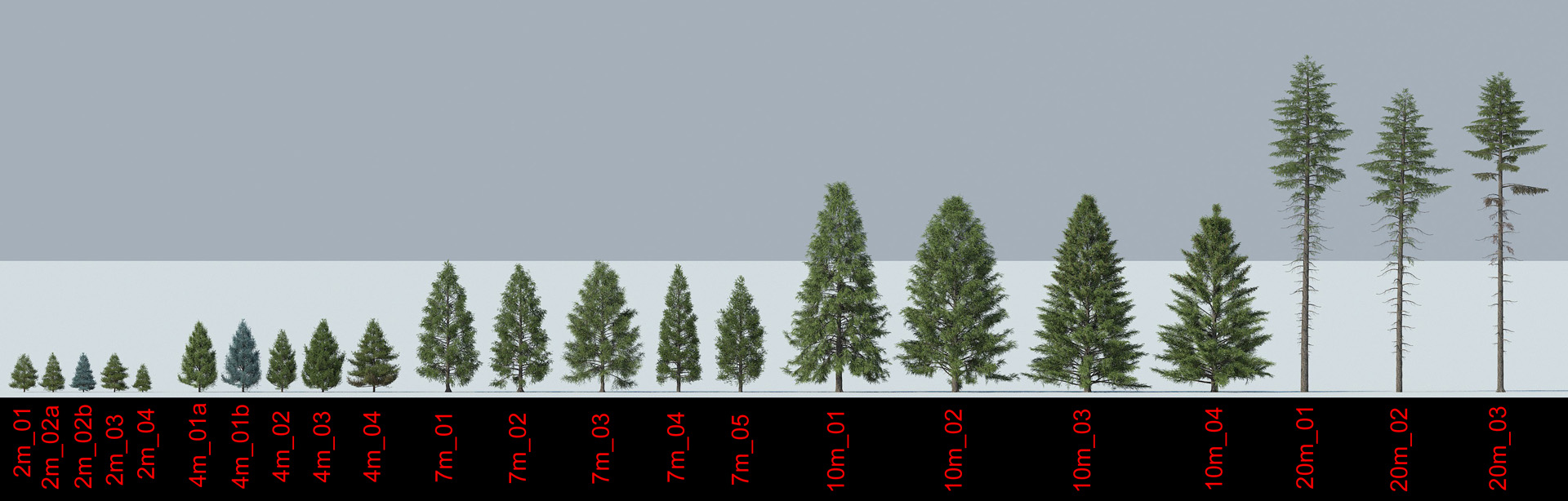 3d model of spruce tree