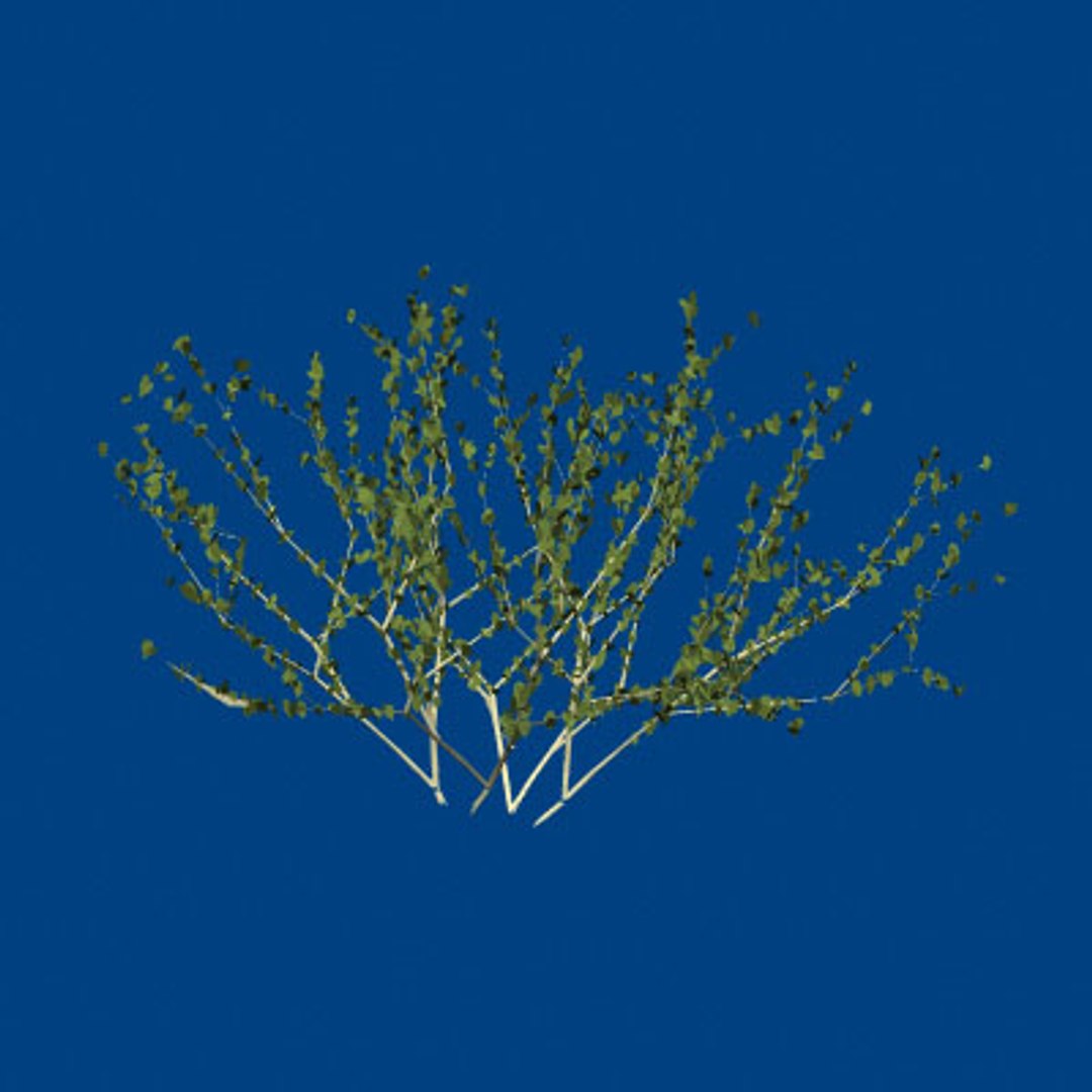 3d Lwo 2 Lane Highway Bridge