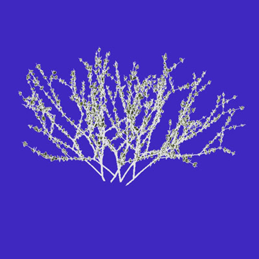 3d Lwo 2 Lane Highway Bridge