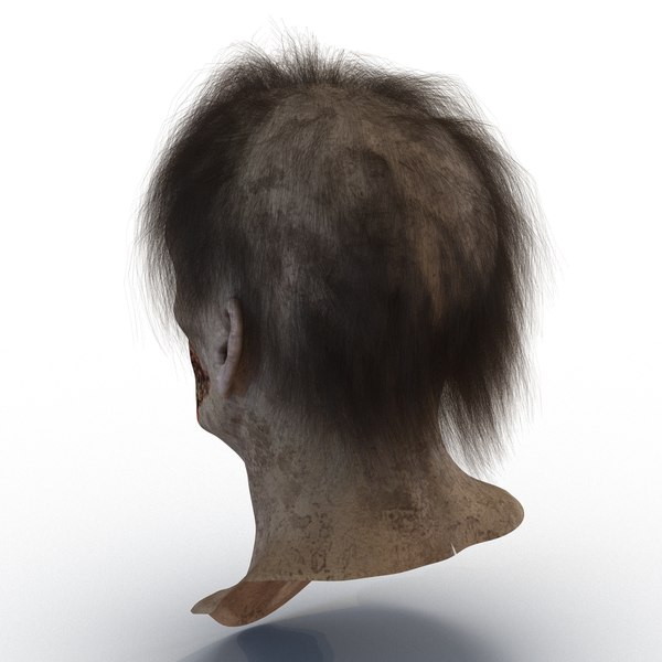 max zombie head hair modeled