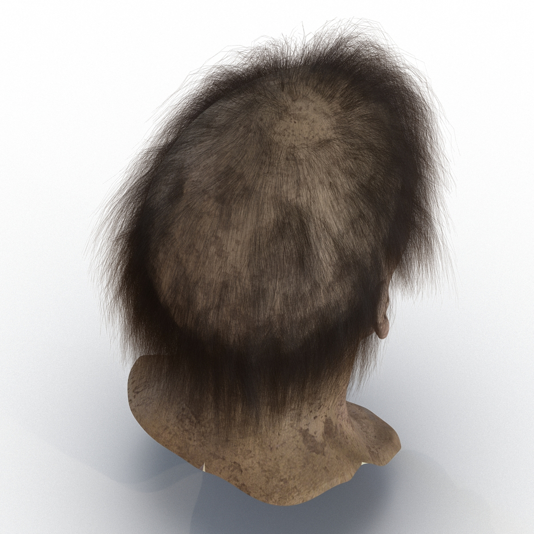 max zombie head hair modeled