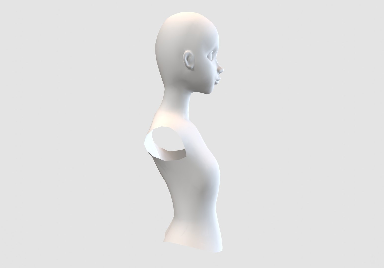 Basic Female Torso Model - TurboSquid 1910299