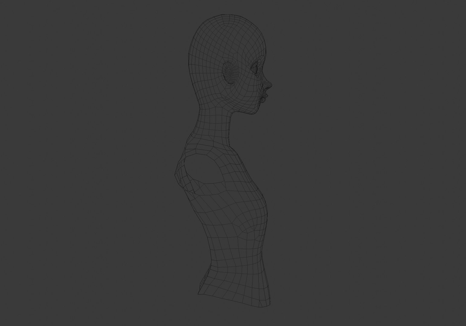Basic Female Torso Model - TurboSquid 1910299
