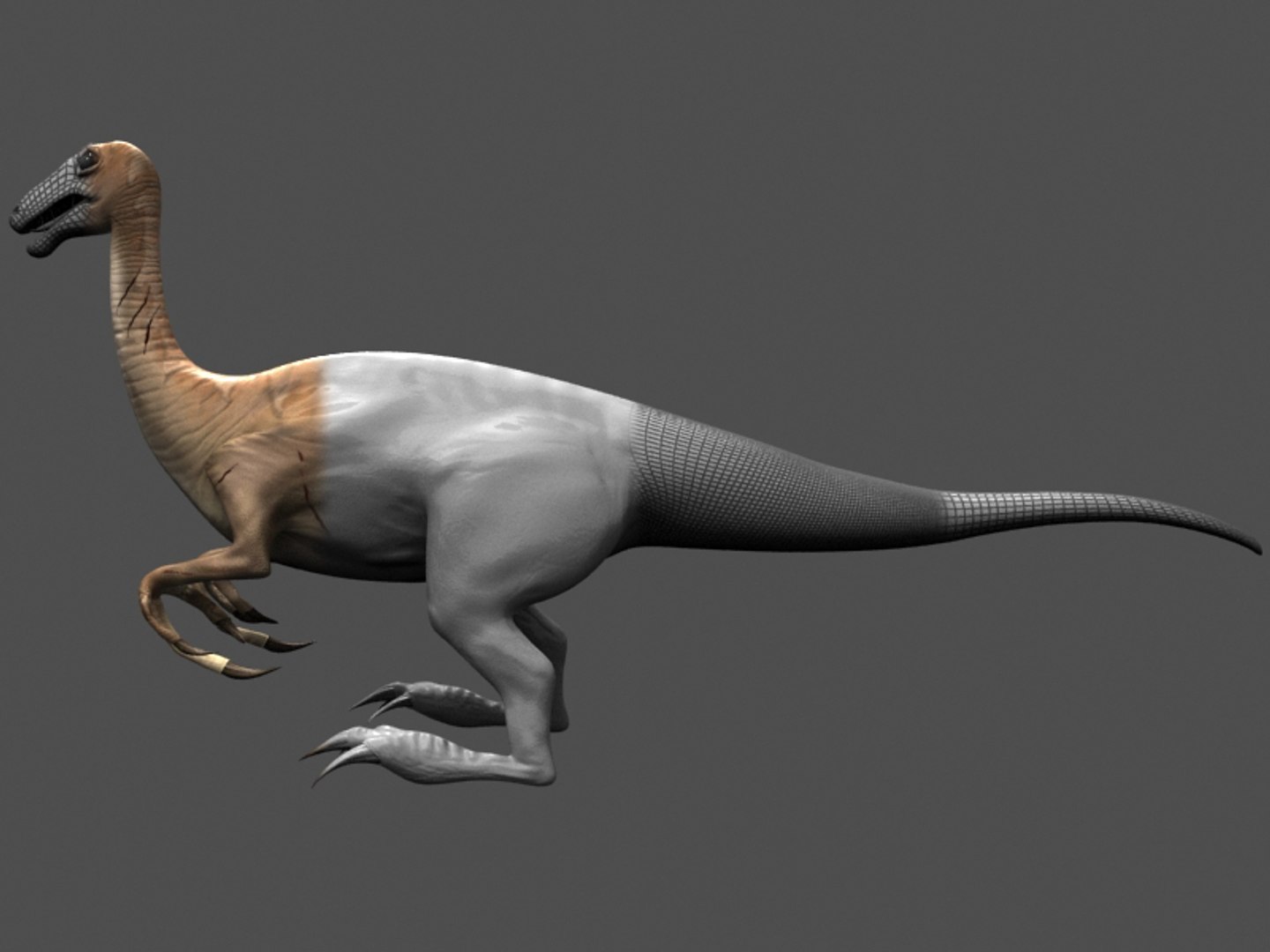 3d Gallimimus Lizards Rigged Model