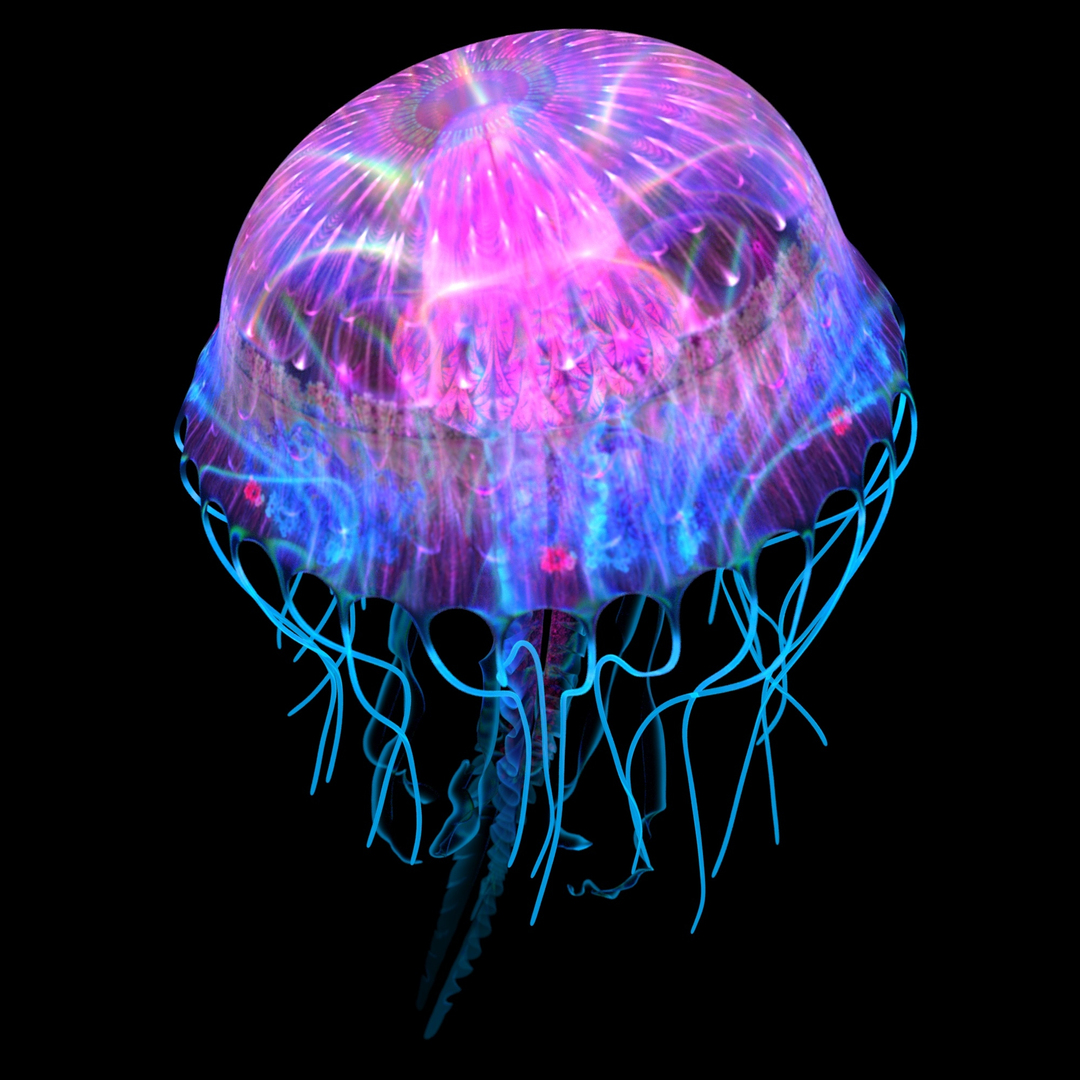 3D Animated Jellyfish - TurboSquid 1874542