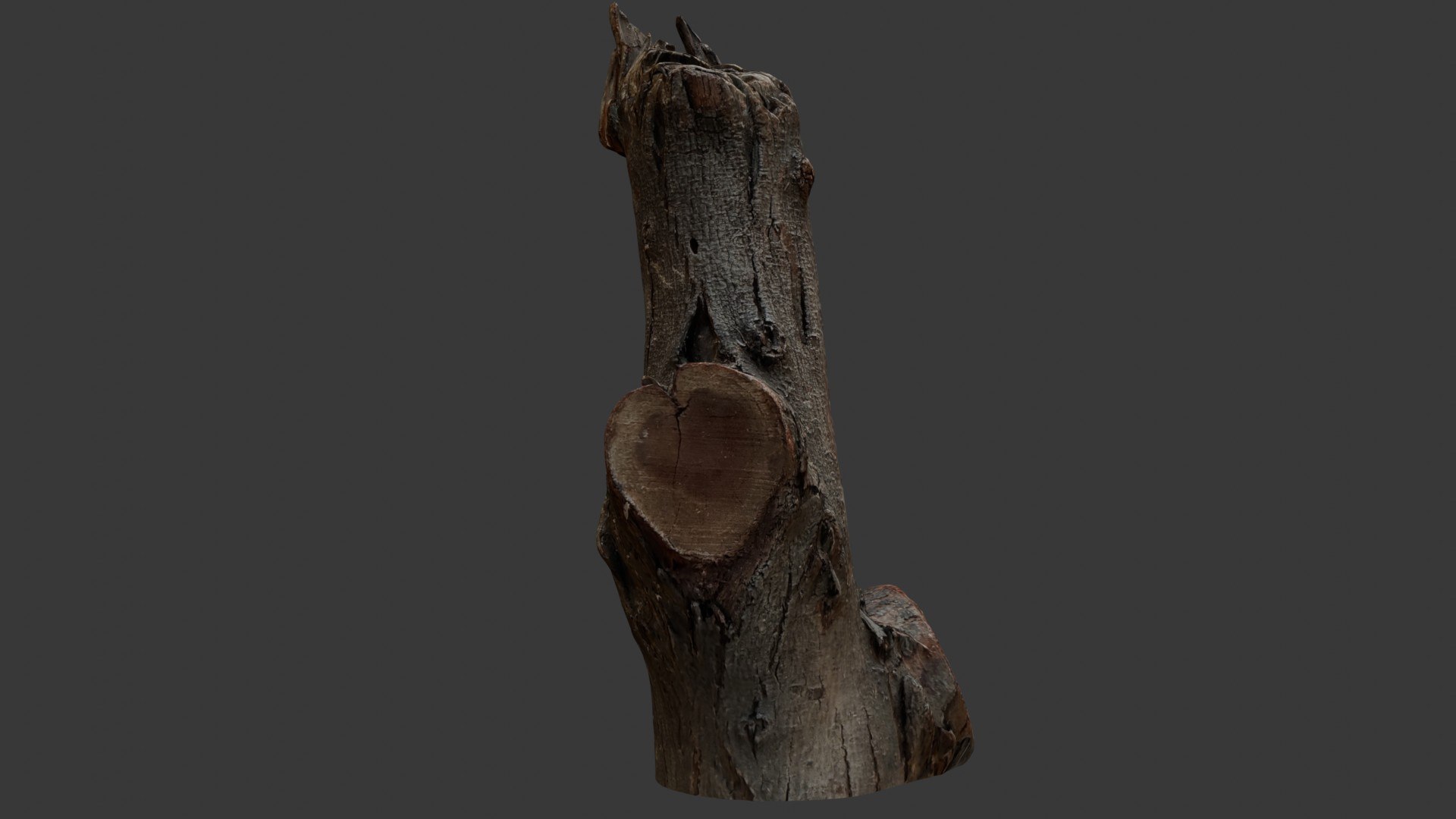 3D Model Tree Trunk 3D Scan - TurboSquid 2404844