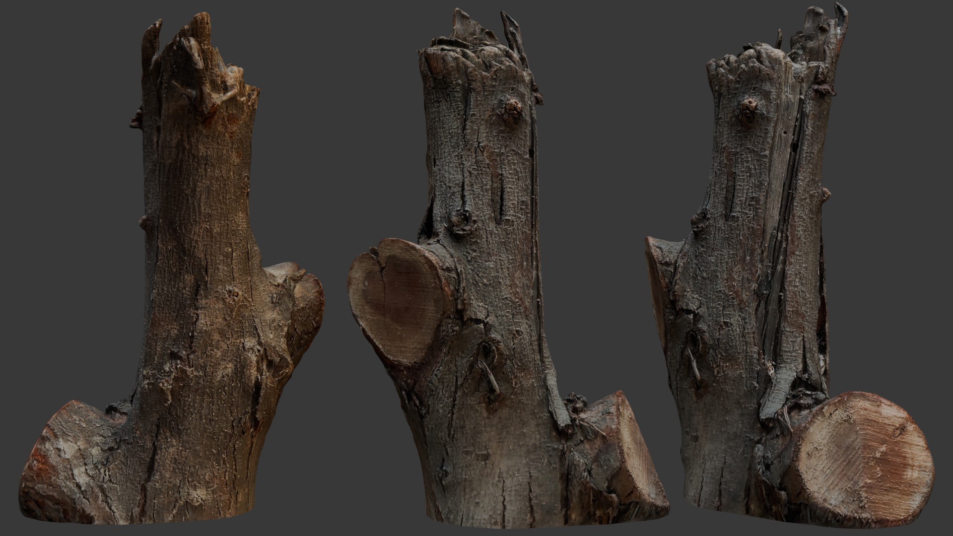 3D Model Tree Trunk 3D Scan - TurboSquid 2404844