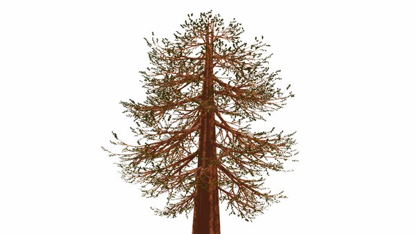 Free Animated Tree 2 3D model - TurboSquid 1787714