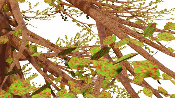 Free Animated Tree 2 3D model - TurboSquid 1787714