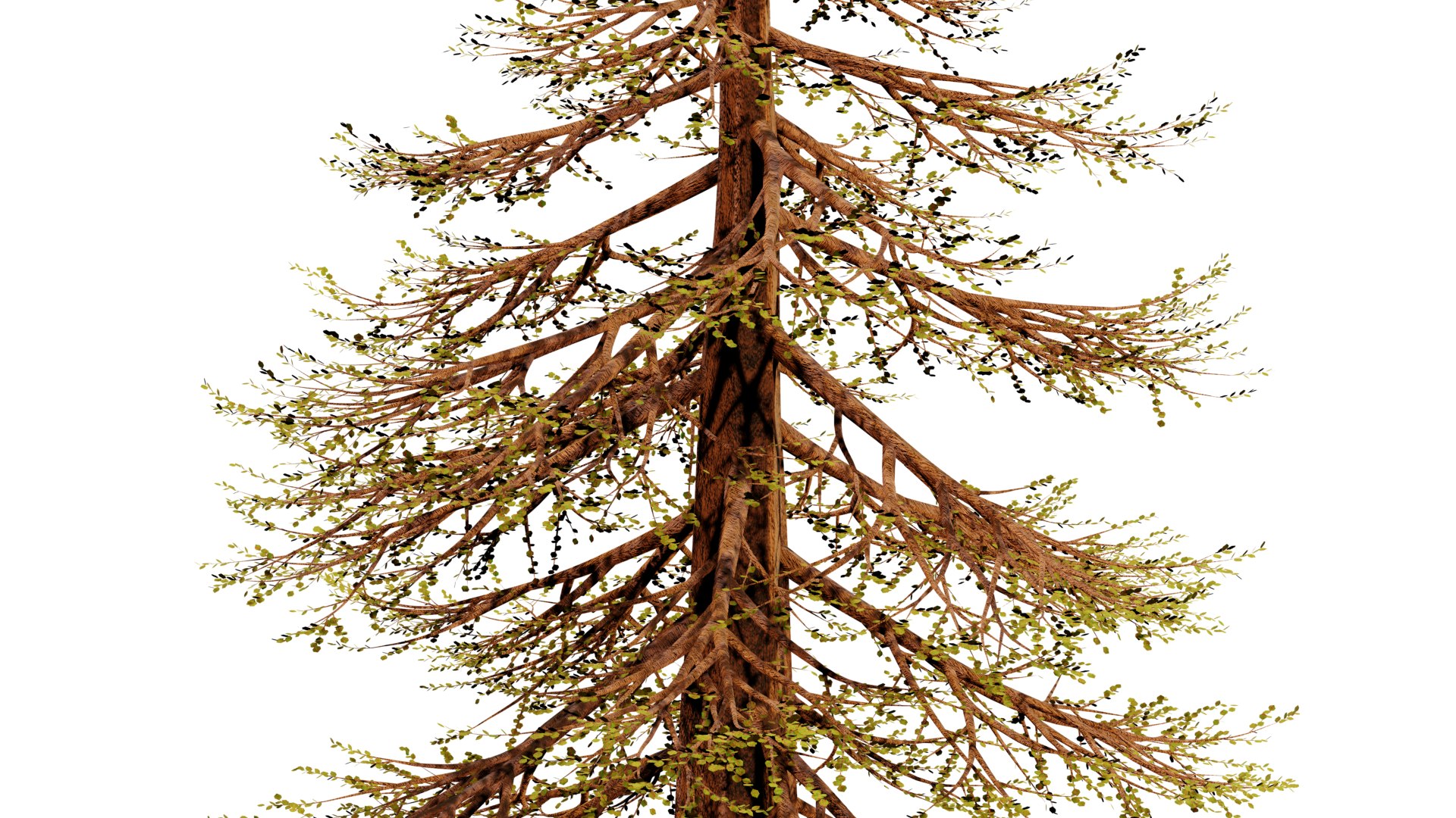 Free Animated Tree 2 3D Model - TurboSquid 1787714