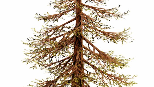 Free Animated Tree 2 3D model - TurboSquid 1787714