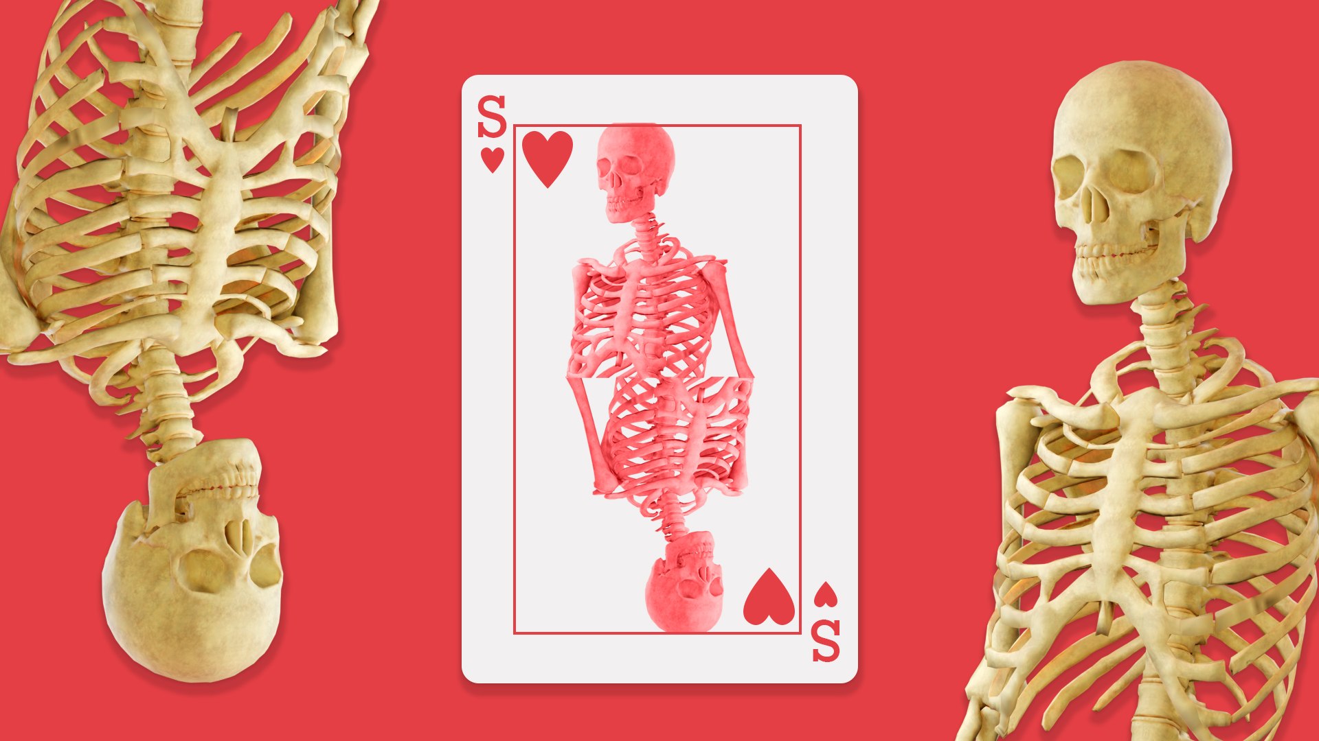 Skeleton - Human Low-poly 3D model 3D model - TurboSquid 2011890