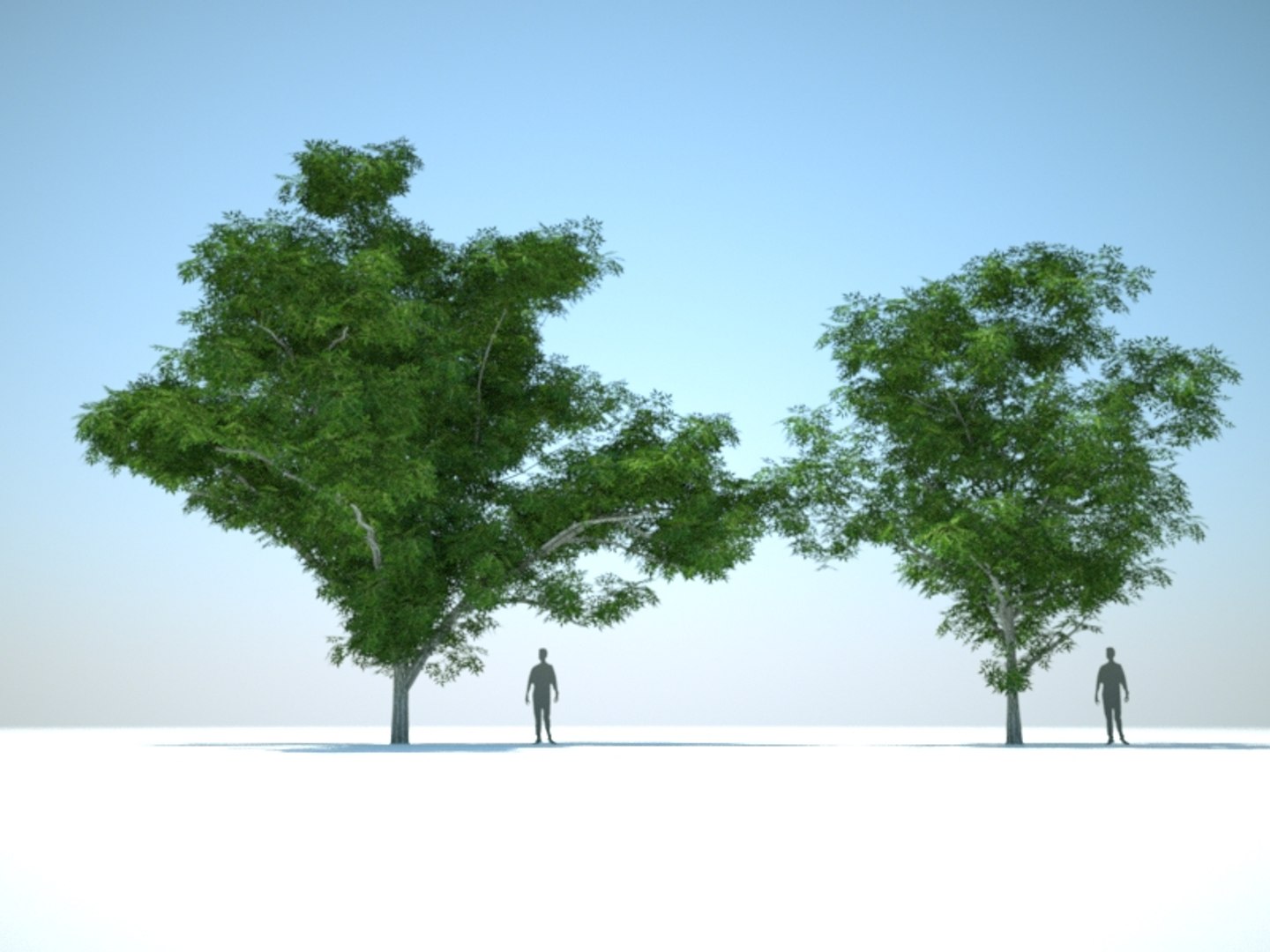 trees arch gpu 3d max