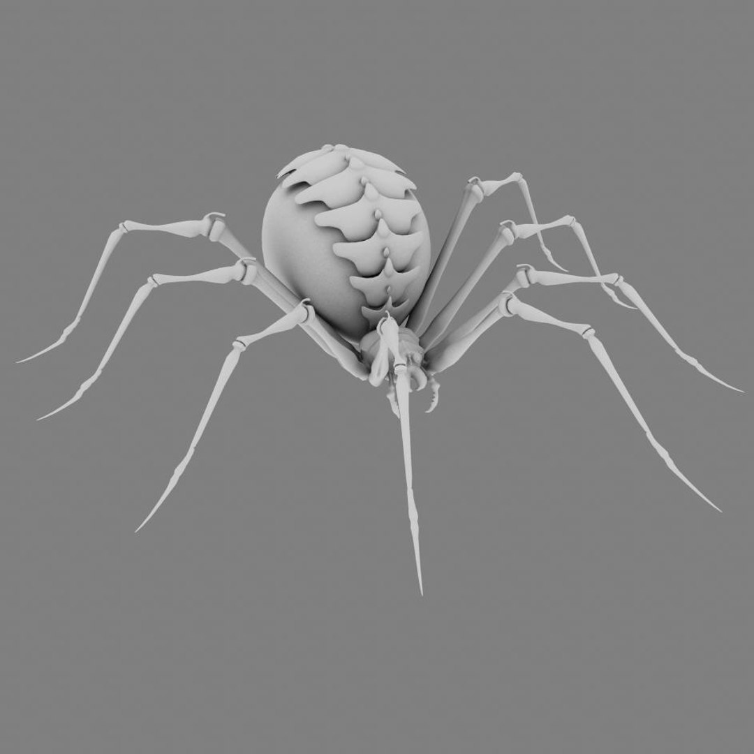 Spider 3d Obj
