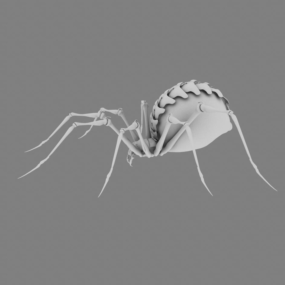 Spider 3d Obj