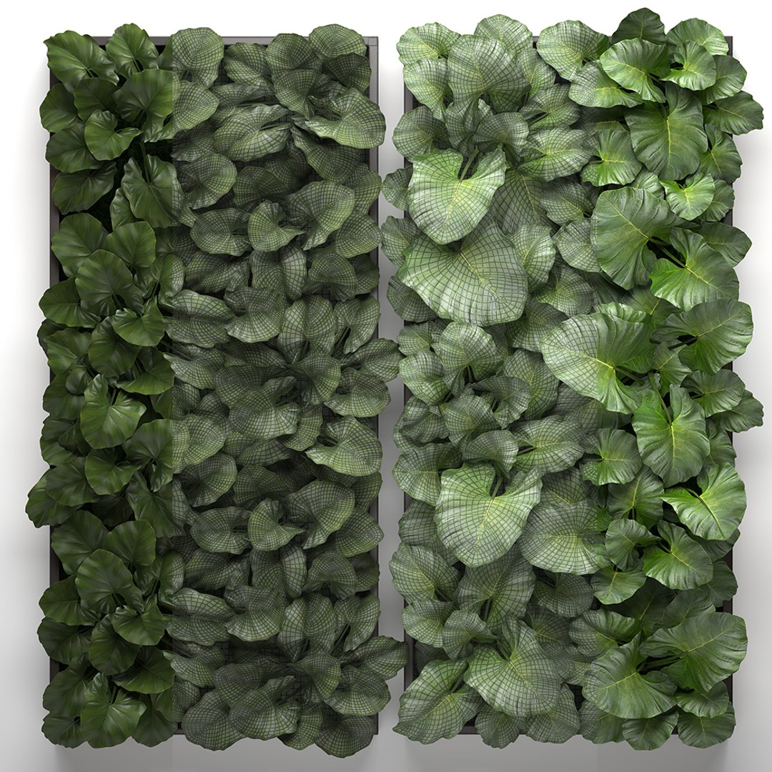 Vertical Gardening 3D Model - TurboSquid 1330356