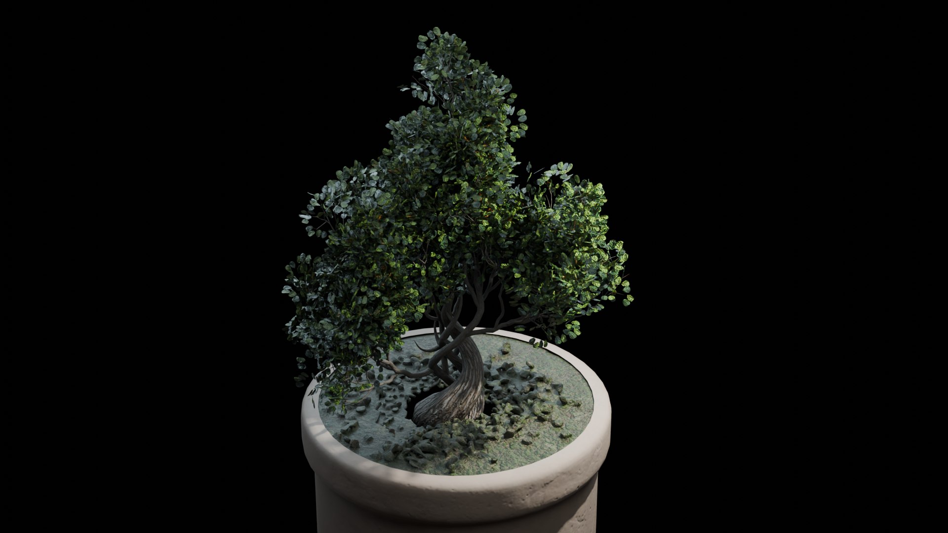 3D Tree In A Pot - TurboSquid 2168829