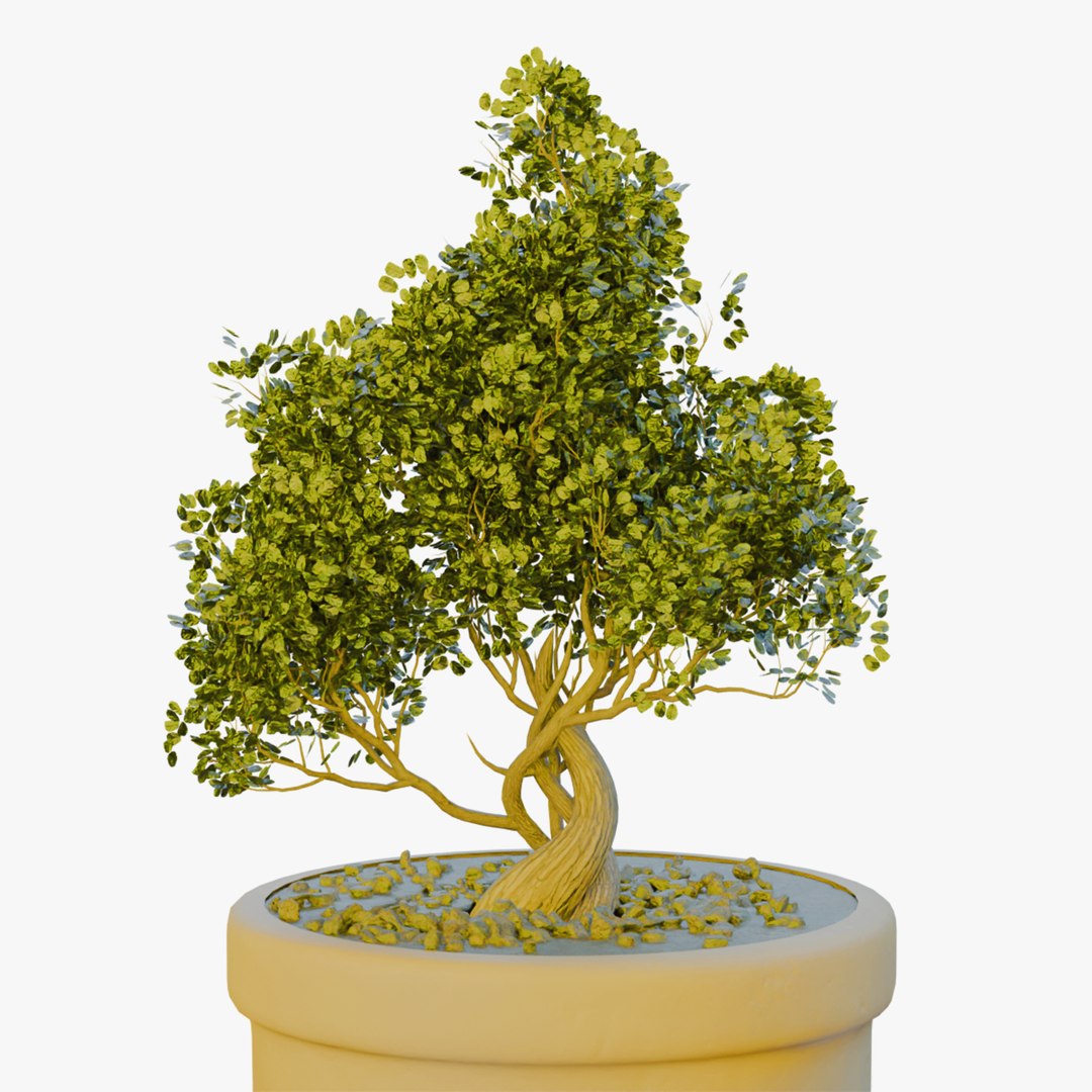 3D Tree In A Pot - TurboSquid 2168829
