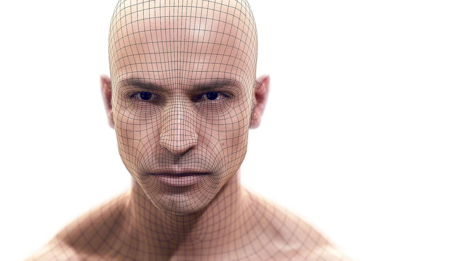 Man Character Body Anatomy 3d Model