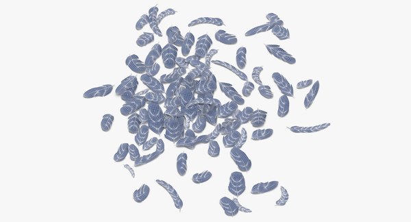 Scattered feathers medium model - TurboSquid 1359057