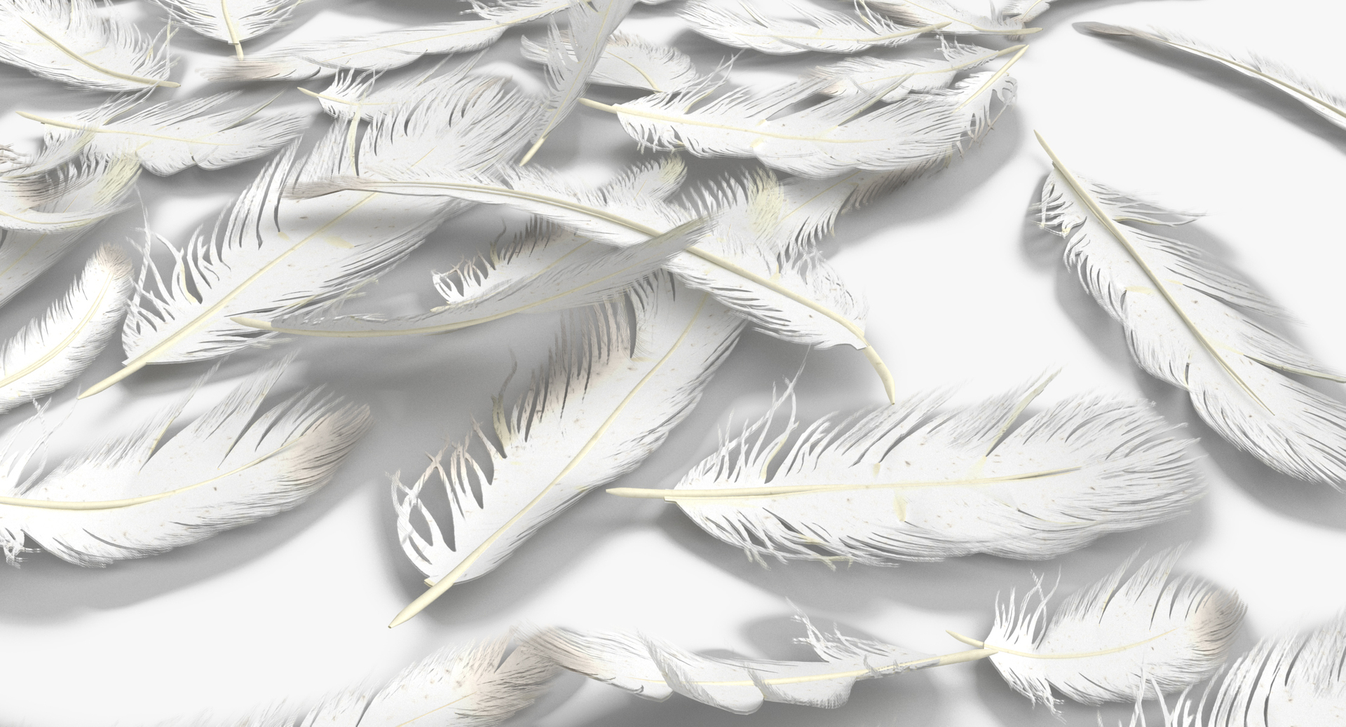 Scattered feathers medium model - TurboSquid 1359057