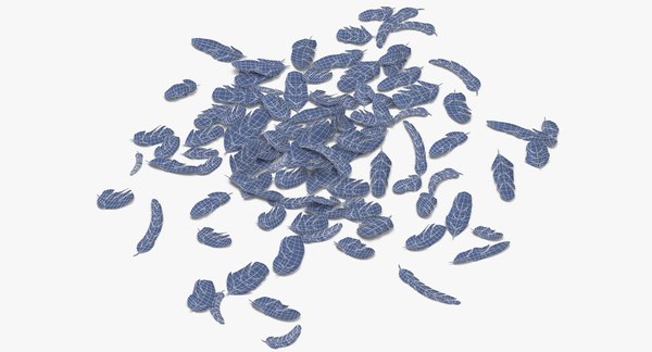 Scattered feathers medium model - TurboSquid 1359057