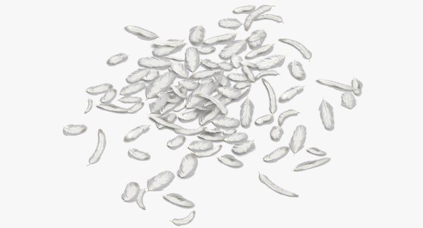 Scattered feathers medium model - TurboSquid 1359057