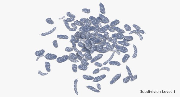 Scattered feathers medium model - TurboSquid 1359057