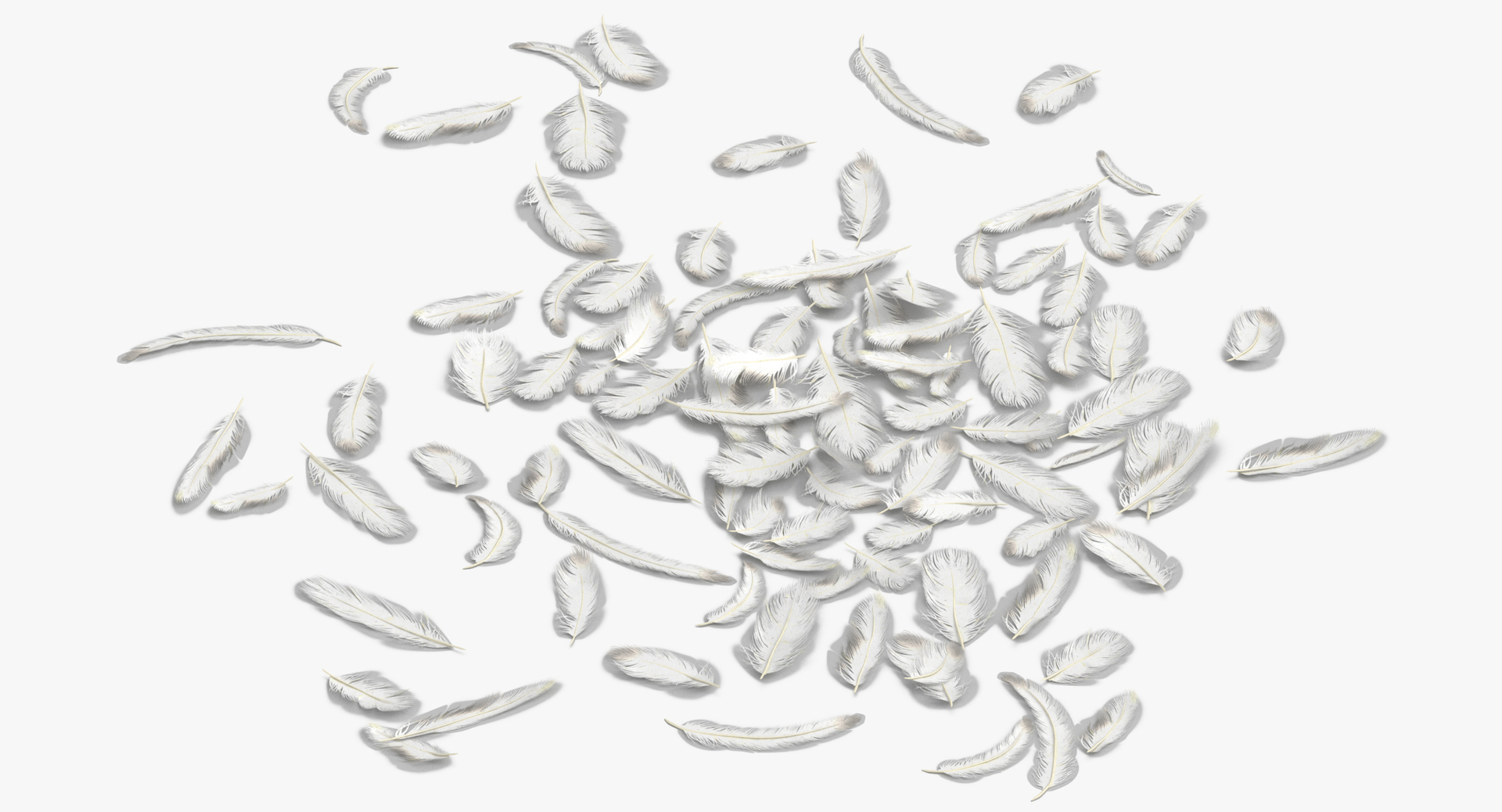 Scattered feathers medium model - TurboSquid 1359057