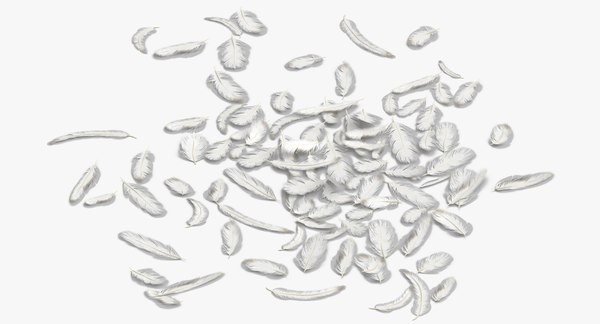 Scattered feathers medium model - TurboSquid 1359057