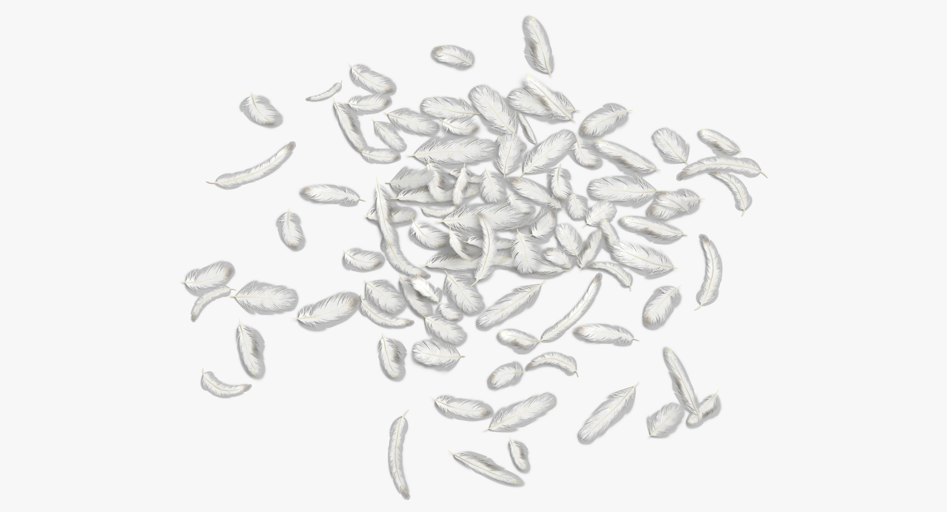 Scattered feathers medium model - TurboSquid 1359057