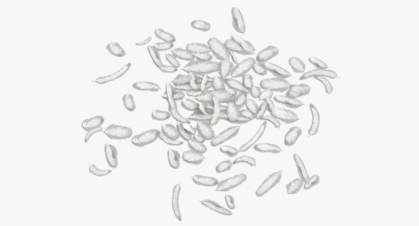 Scattered feathers medium model - TurboSquid 1359057
