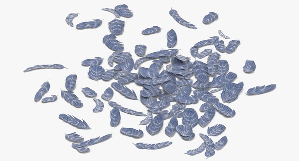 Scattered feathers medium model - TurboSquid 1359057