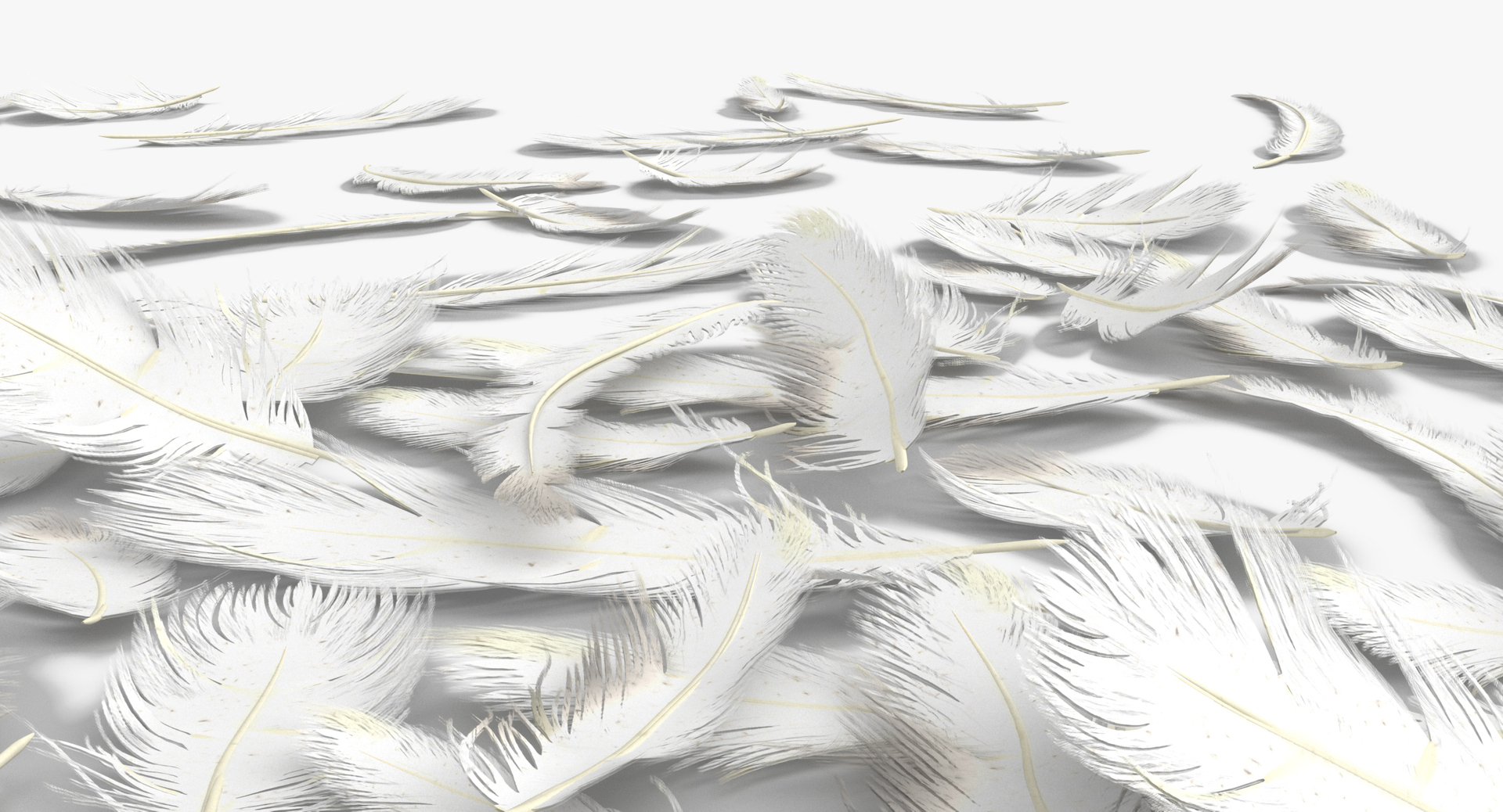 Scattered feathers medium model - TurboSquid 1359057