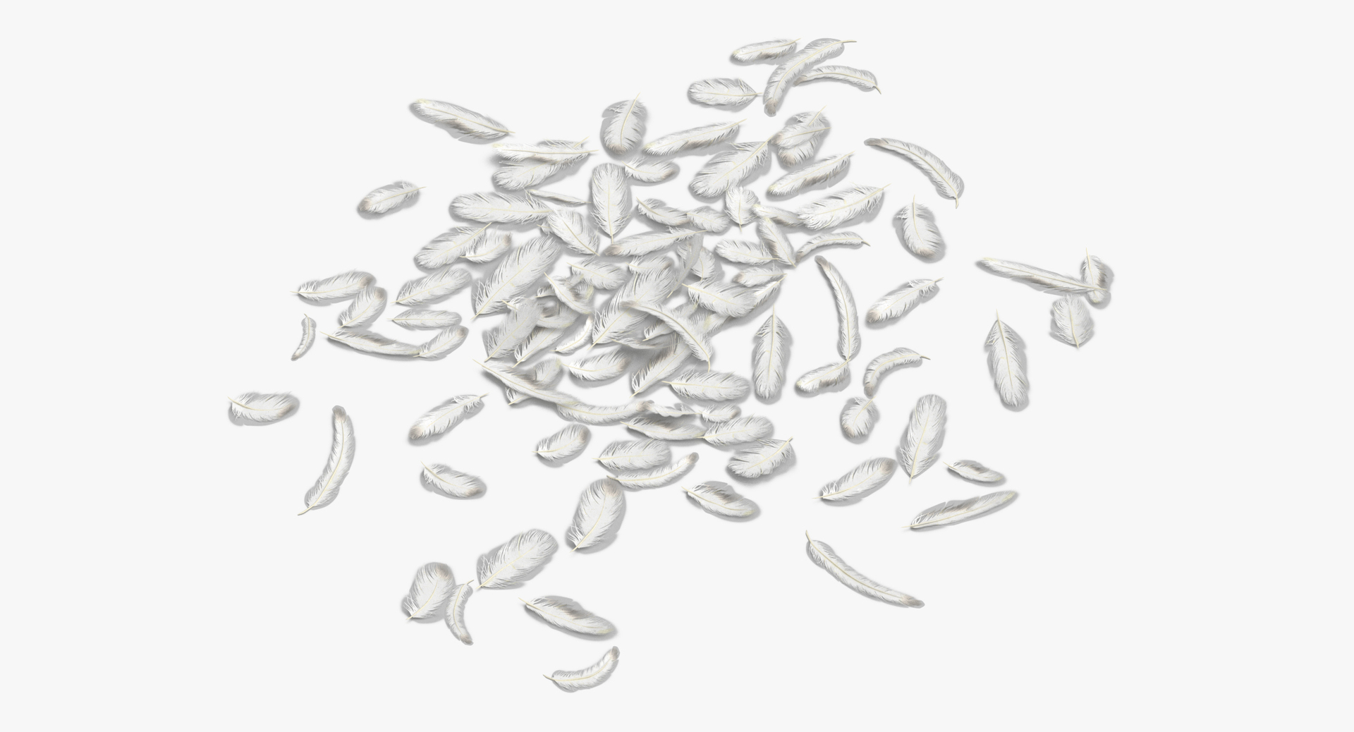 Scattered Feathers Medium Model - TurboSquid 1359057