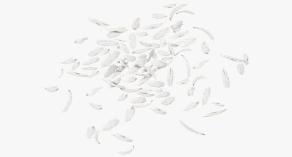 Scattered feathers medium model - TurboSquid 1359057