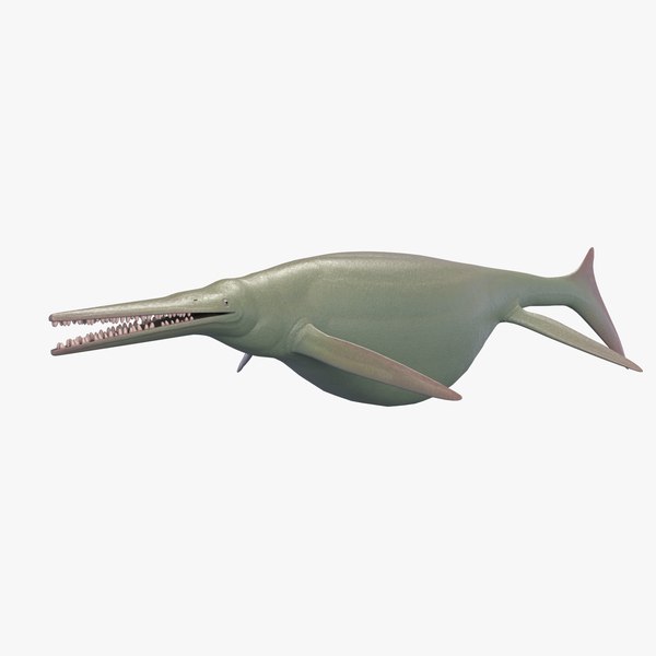 3D Ichthyosaurus Models | TurboSquid
