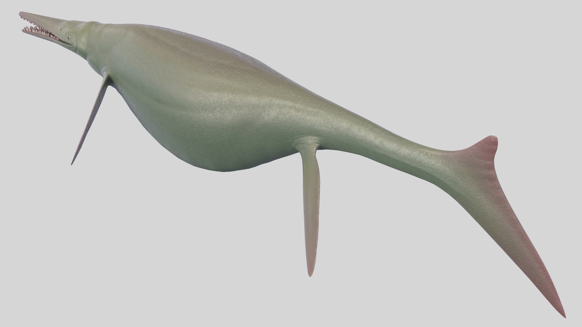 3D Ichthyosaur Giant - TurboSquid 1678430