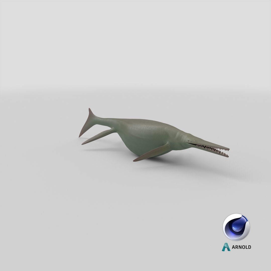 3D Ichthyosaur Giant - TurboSquid 1678430