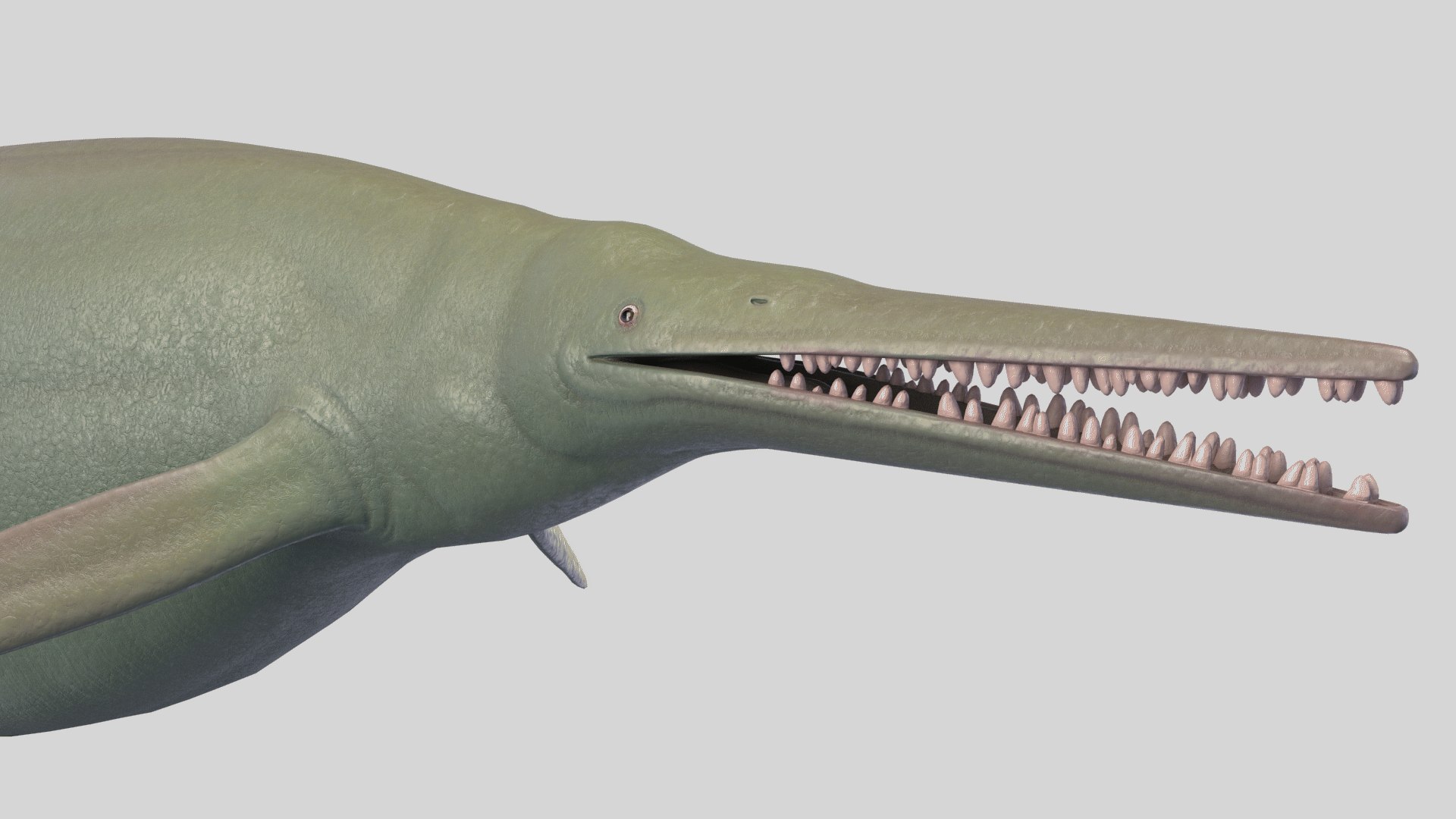 3D Ichthyosaur Giant - TurboSquid 1678430