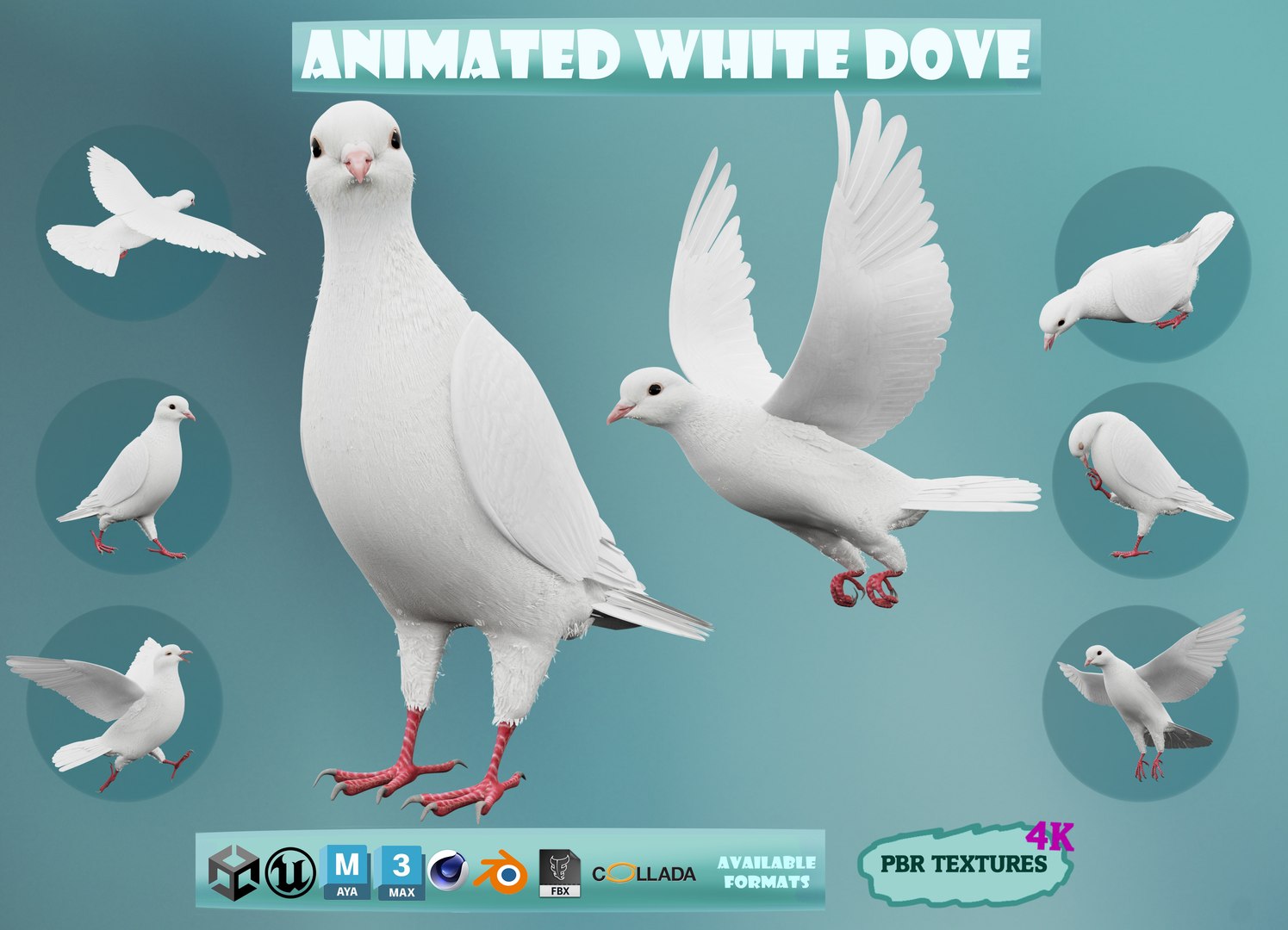 Realistic White Dove Animations 3D Model - TurboSquid 1617256