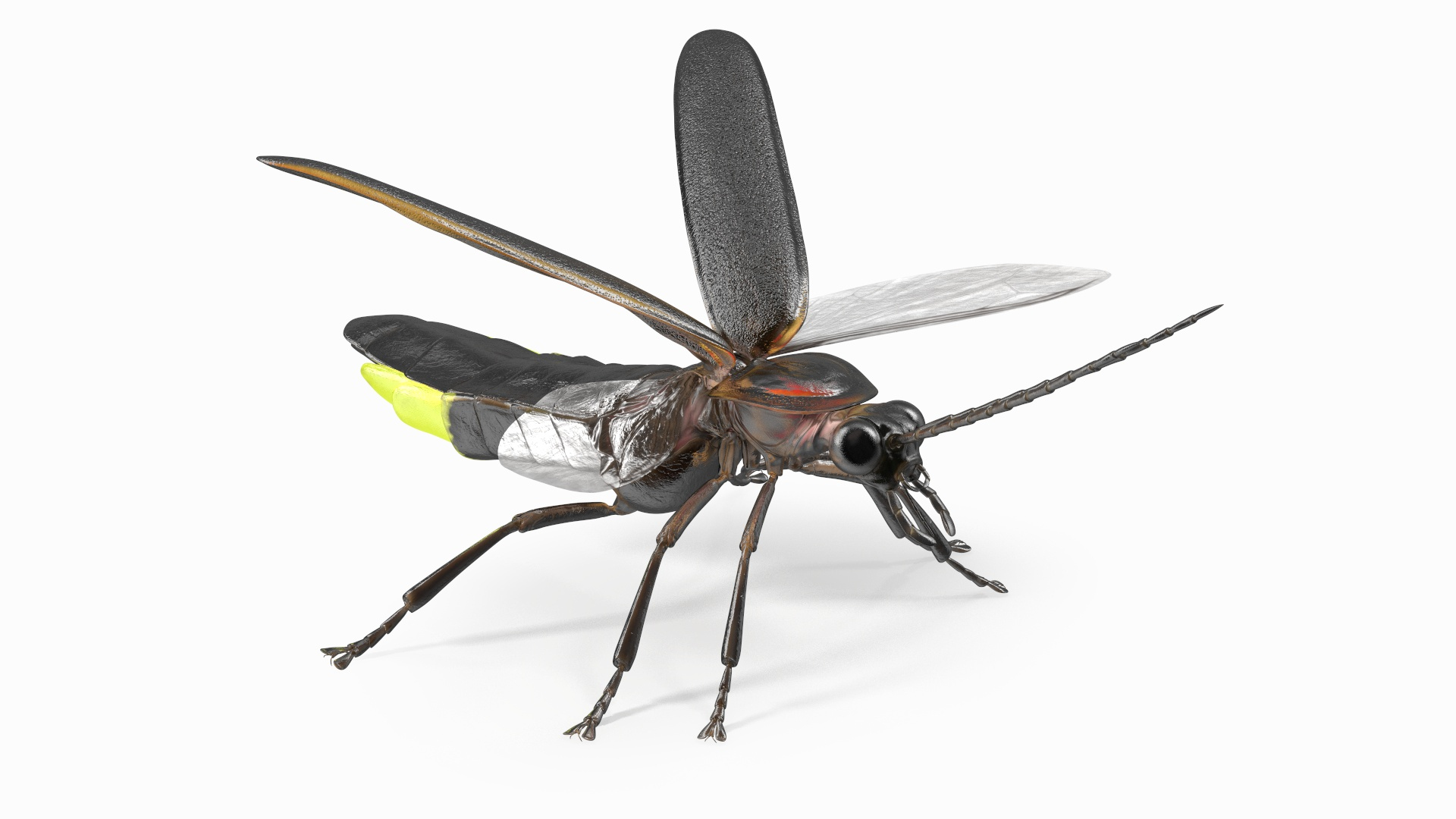 3D Big Dipper Firefly Glowing Rigged - TurboSquid 2174775