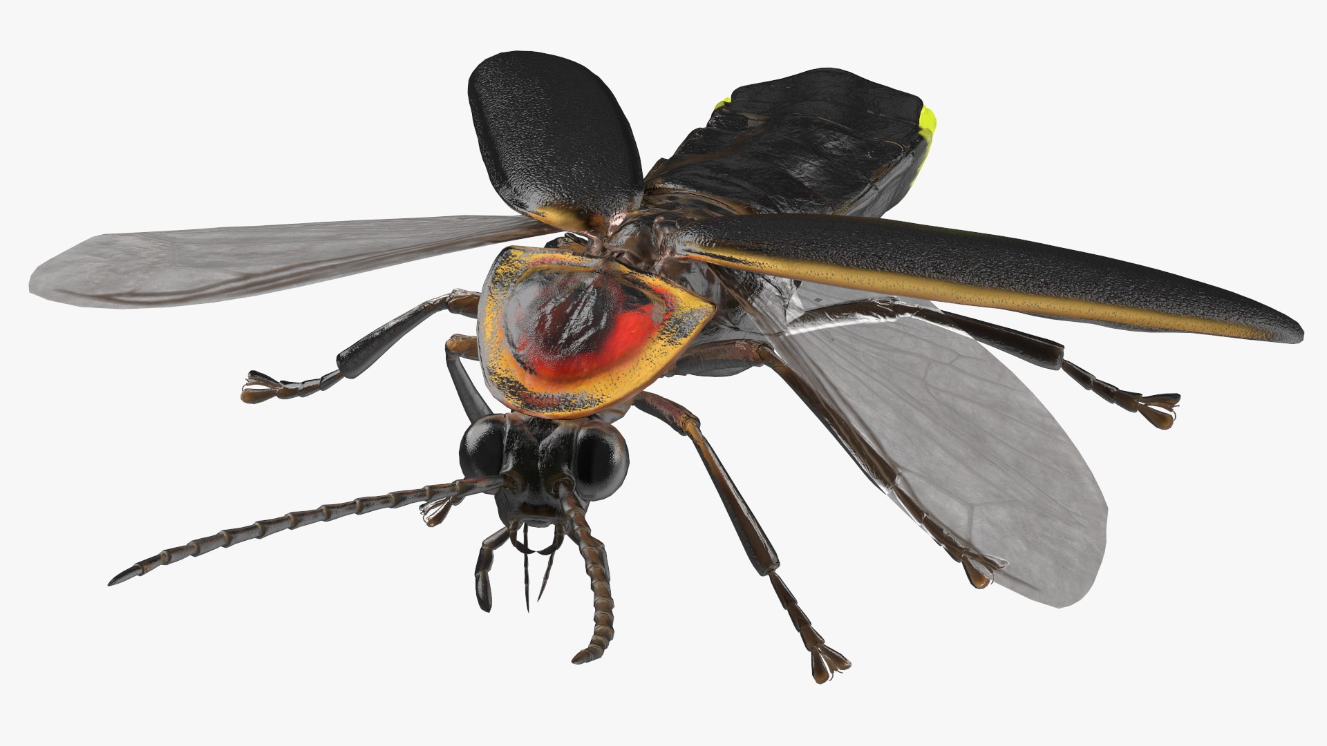 3D Big Dipper Firefly Glowing Rigged - TurboSquid 2174775