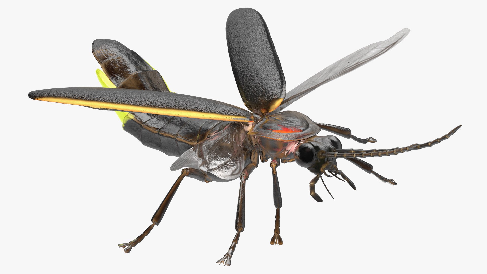 3D Big Dipper Firefly Glowing Rigged - TurboSquid 2174775