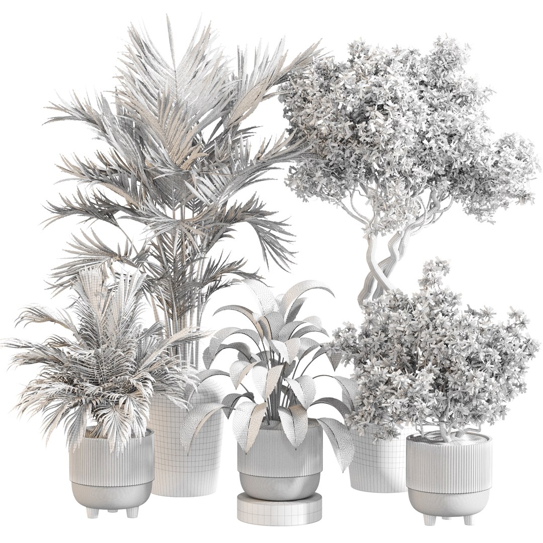 Indoor Plant Set 0123 3D Model - TurboSquid 2292800