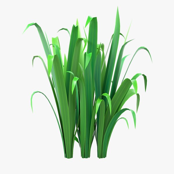 Cartoon Long Grass 11 3D model - TurboSquid 2046389