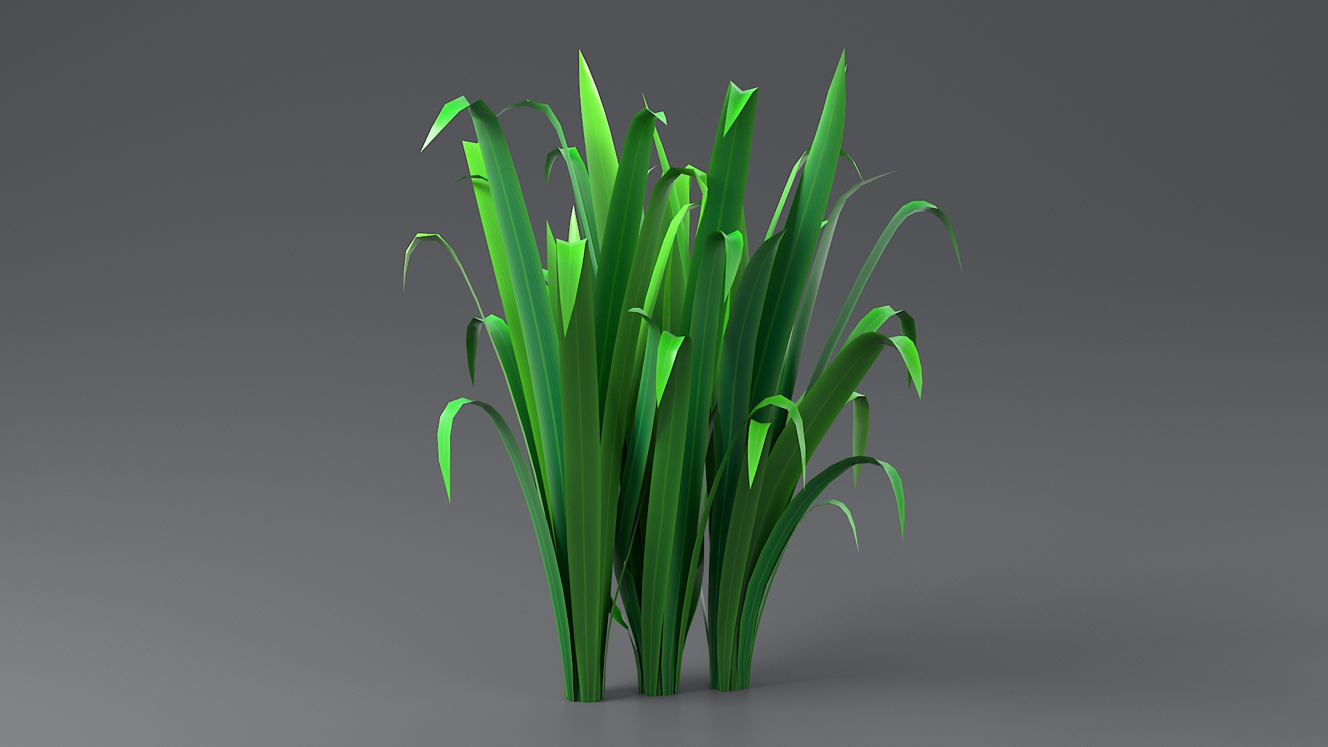 Cartoon Long Grass 11 3D Model - TurboSquid 2046389