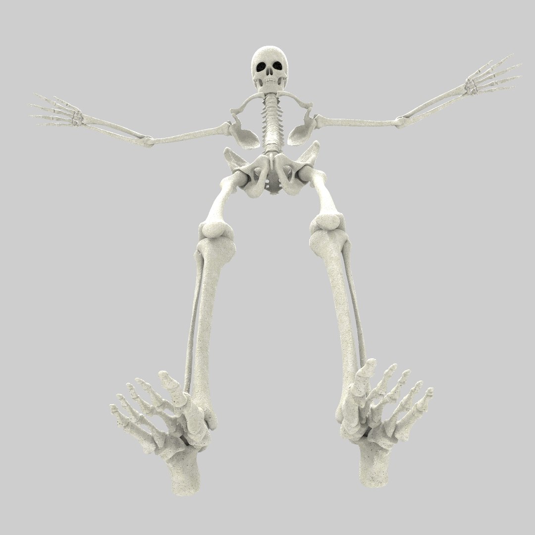 Skeleton Max